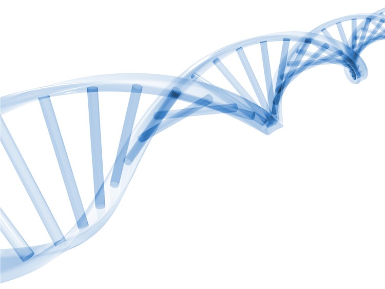 Basser Center for BRCA - 2020 Progress Report