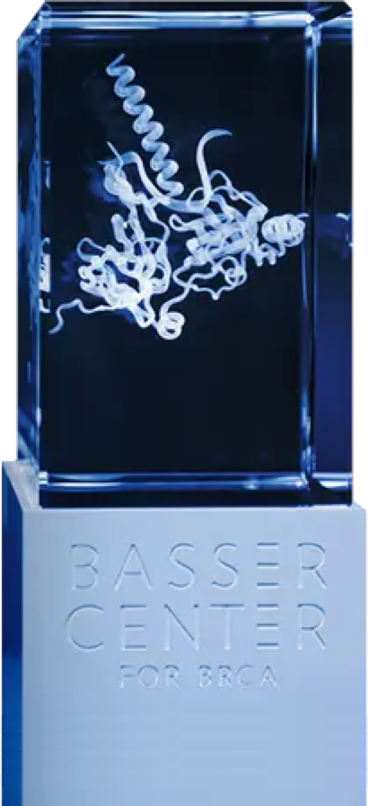 2021-2022 Progress Report | Basser Center