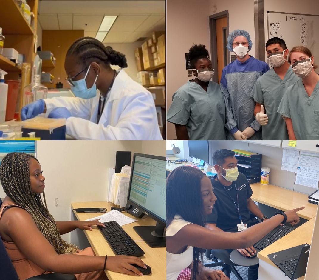 The 2022 Basser Scholars' "Summer in Review" | Basser Center